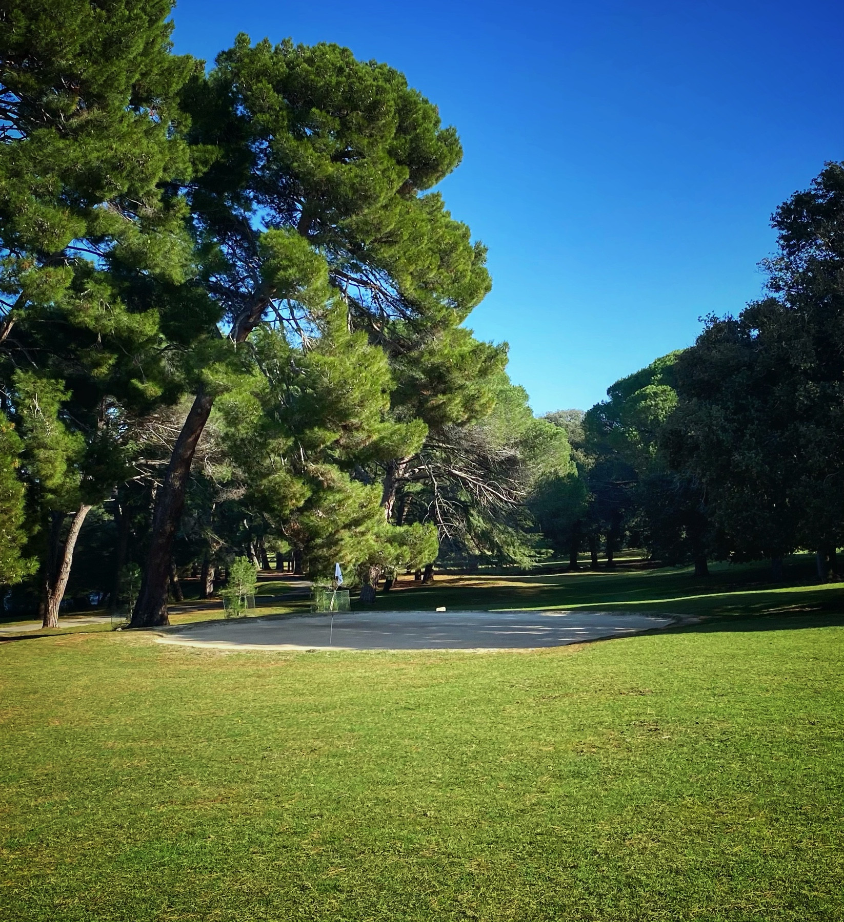 Golf courses in Brijuni National Park | Brijuni National Park