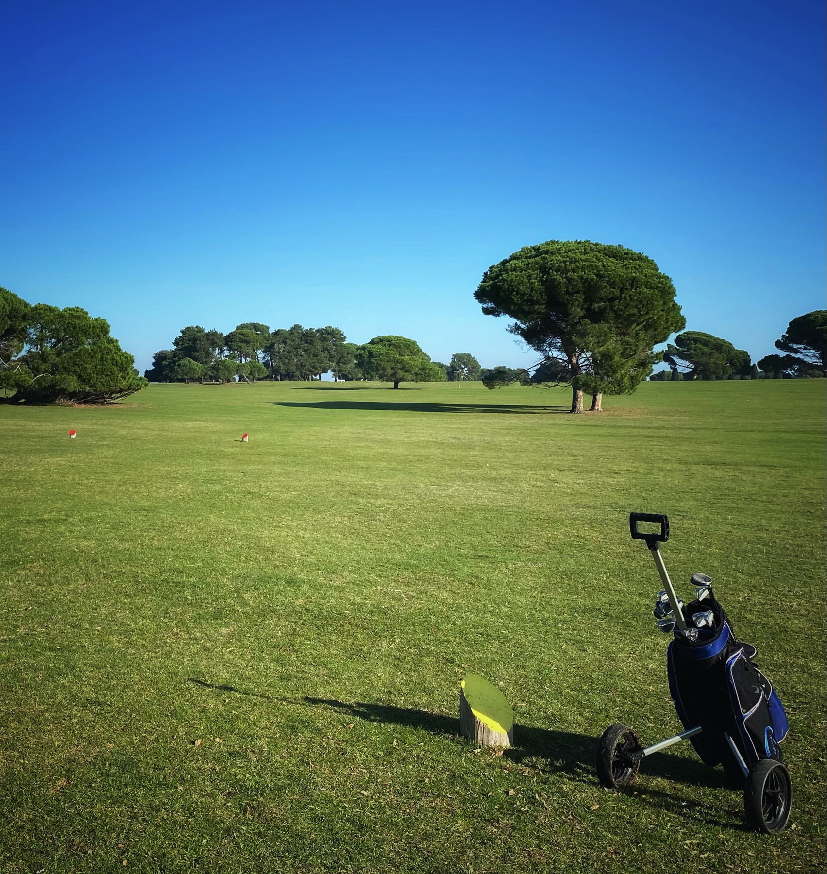 Golf courses in Brijuni National Park | Brijuni National Park