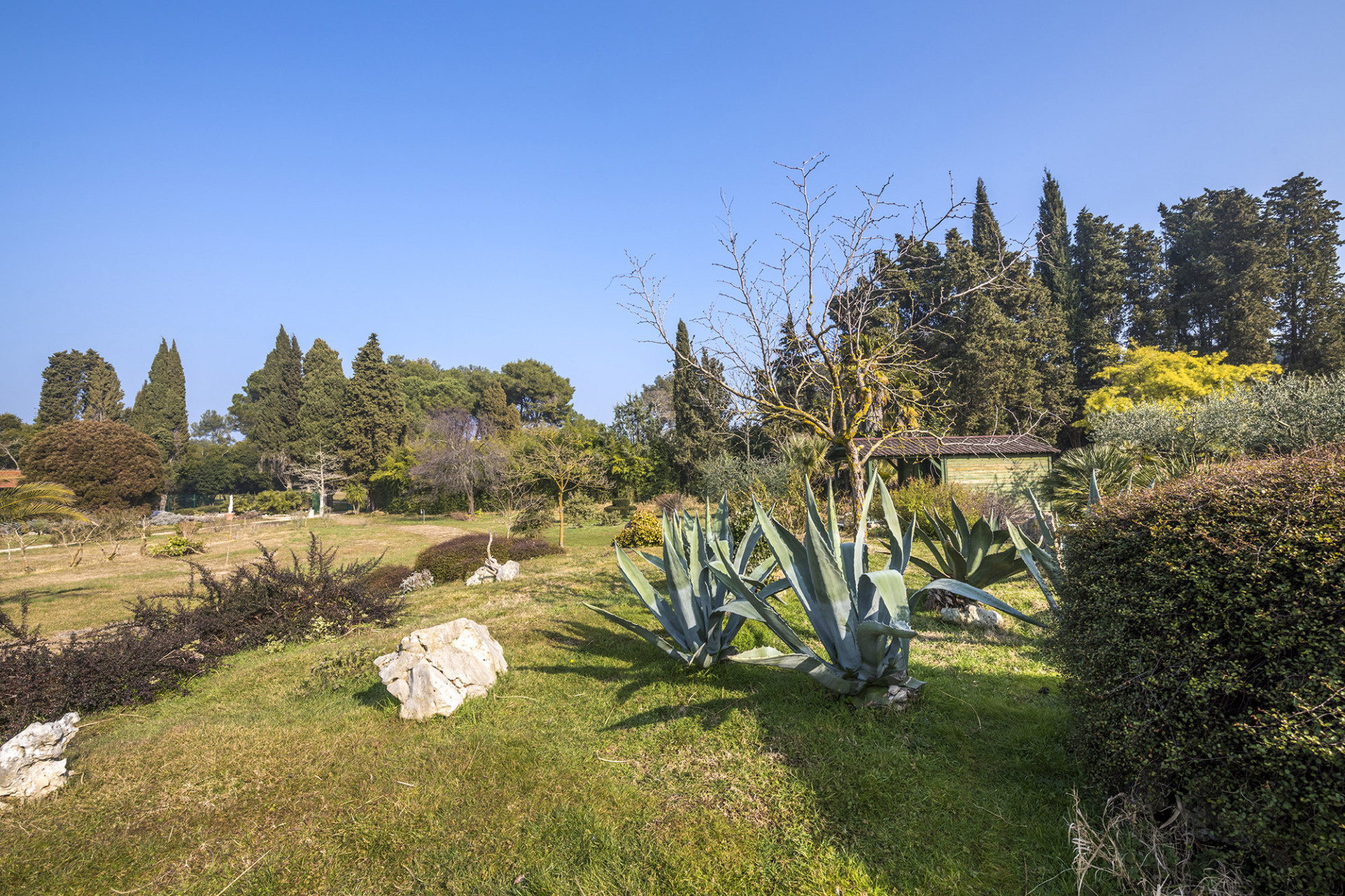 Photos | Brijuni National Park