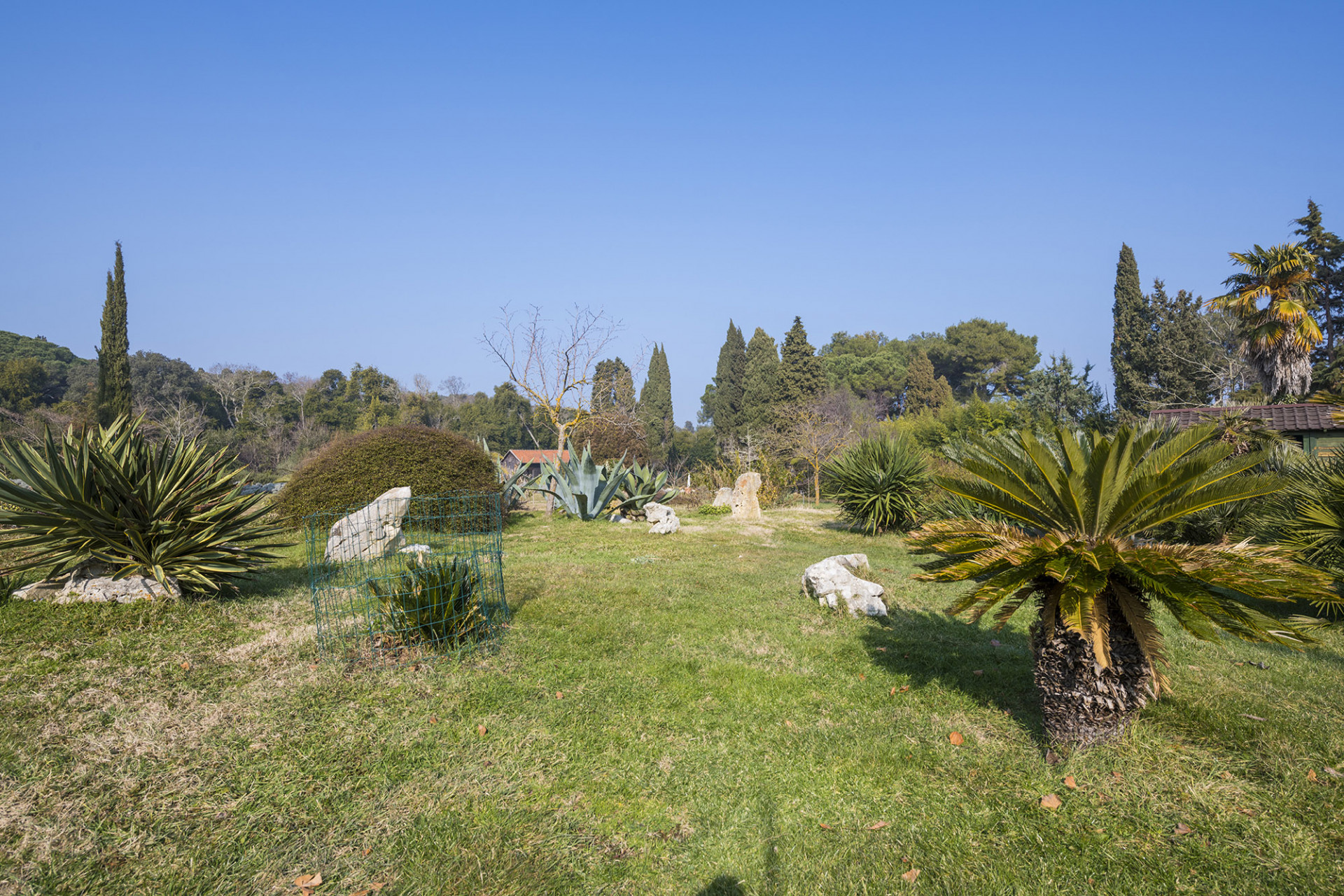 Fotografije | Nacionalni park Brijuni