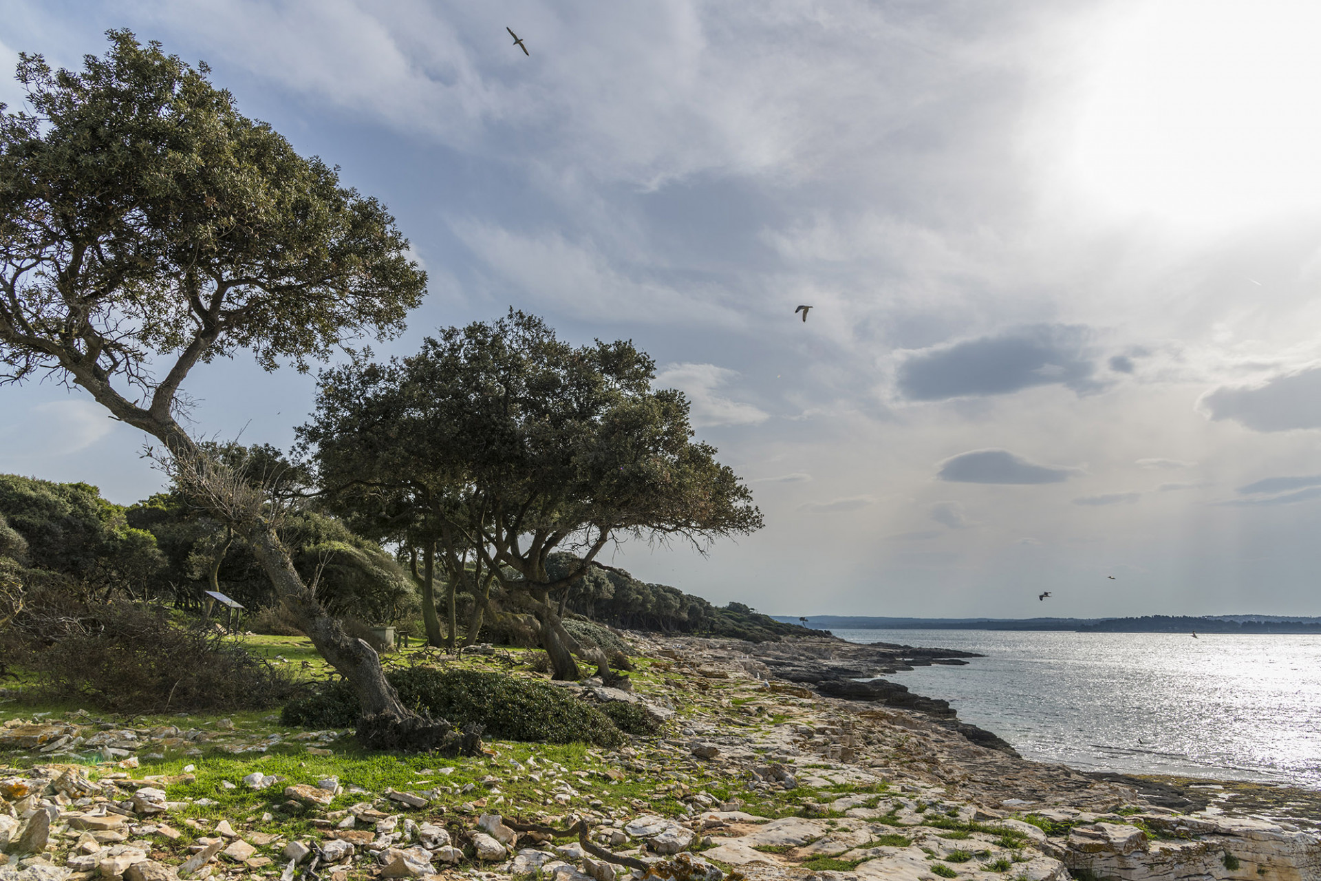 Fotografije | Nacionalni park Brijuni