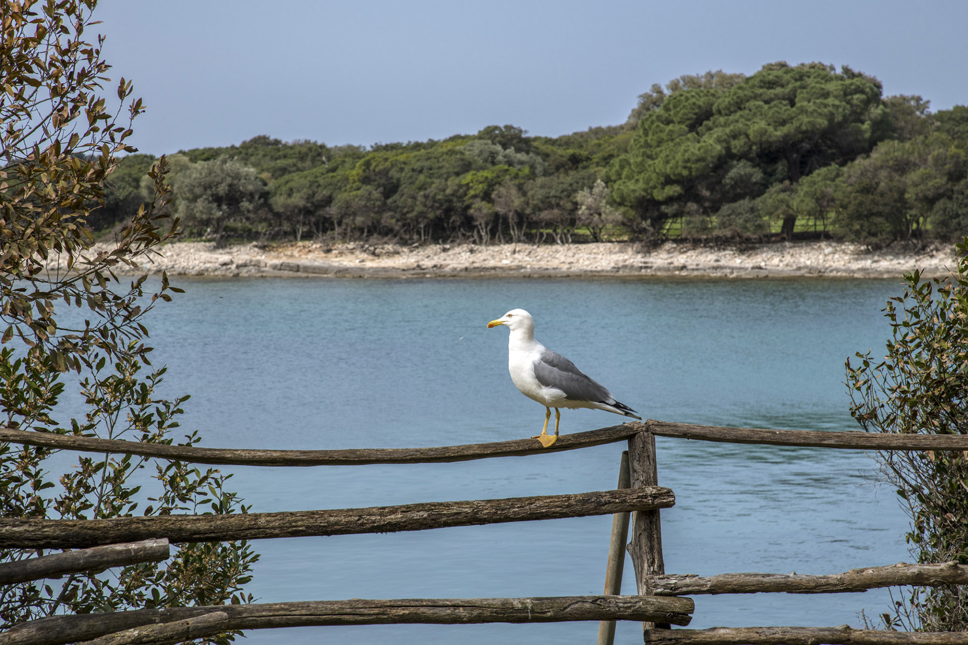 Fotografije | Nacionalni park Brijuni