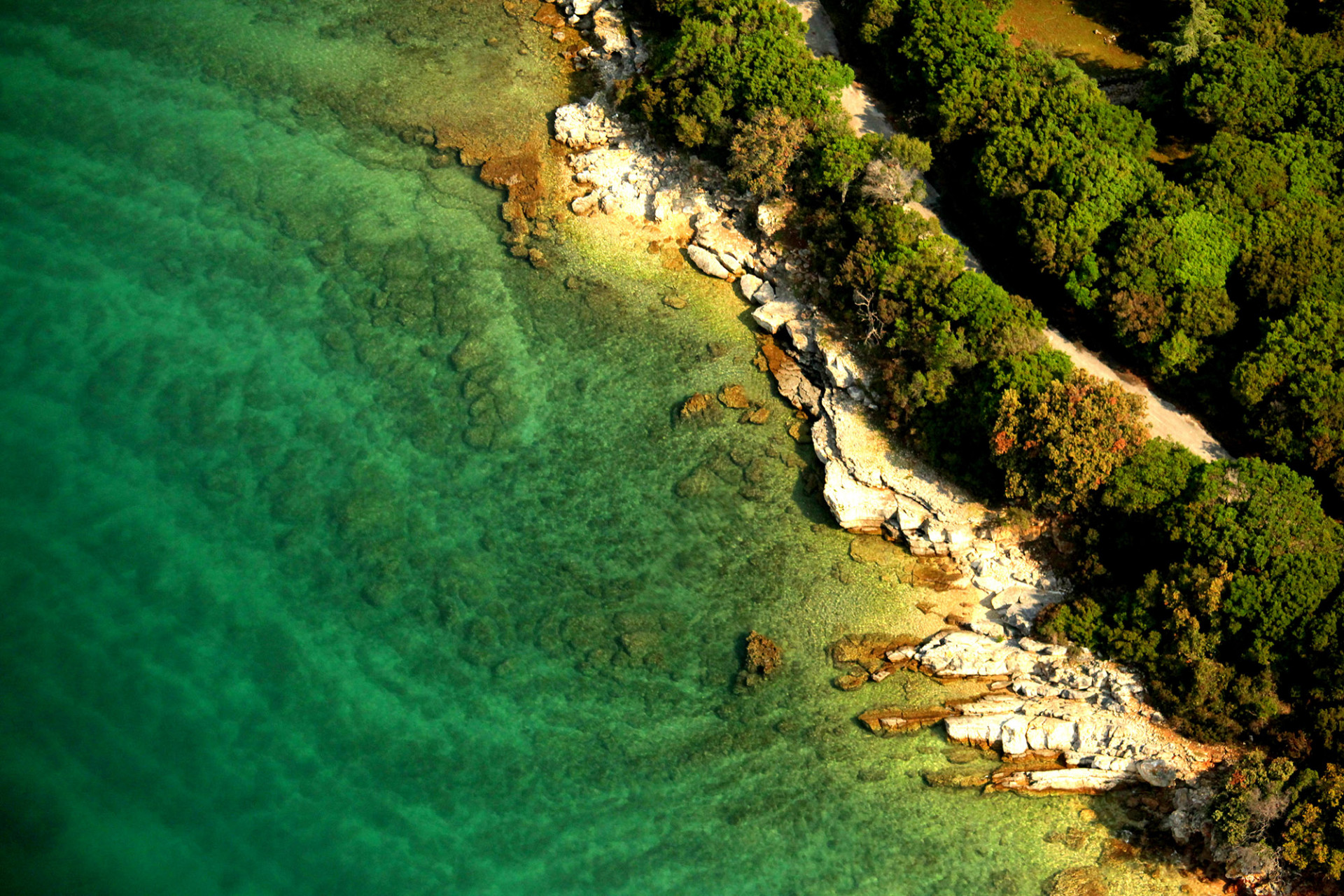 Photos | Brijuni National Park