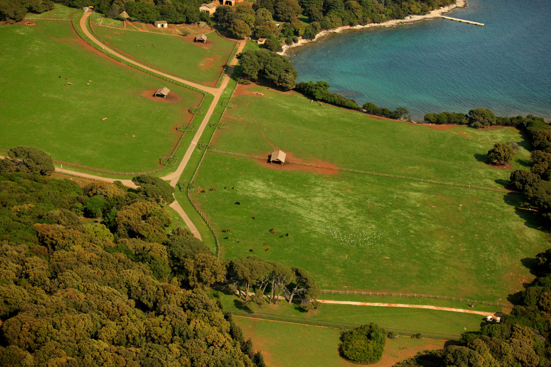 Fotografije | Nacionalni park Brijuni