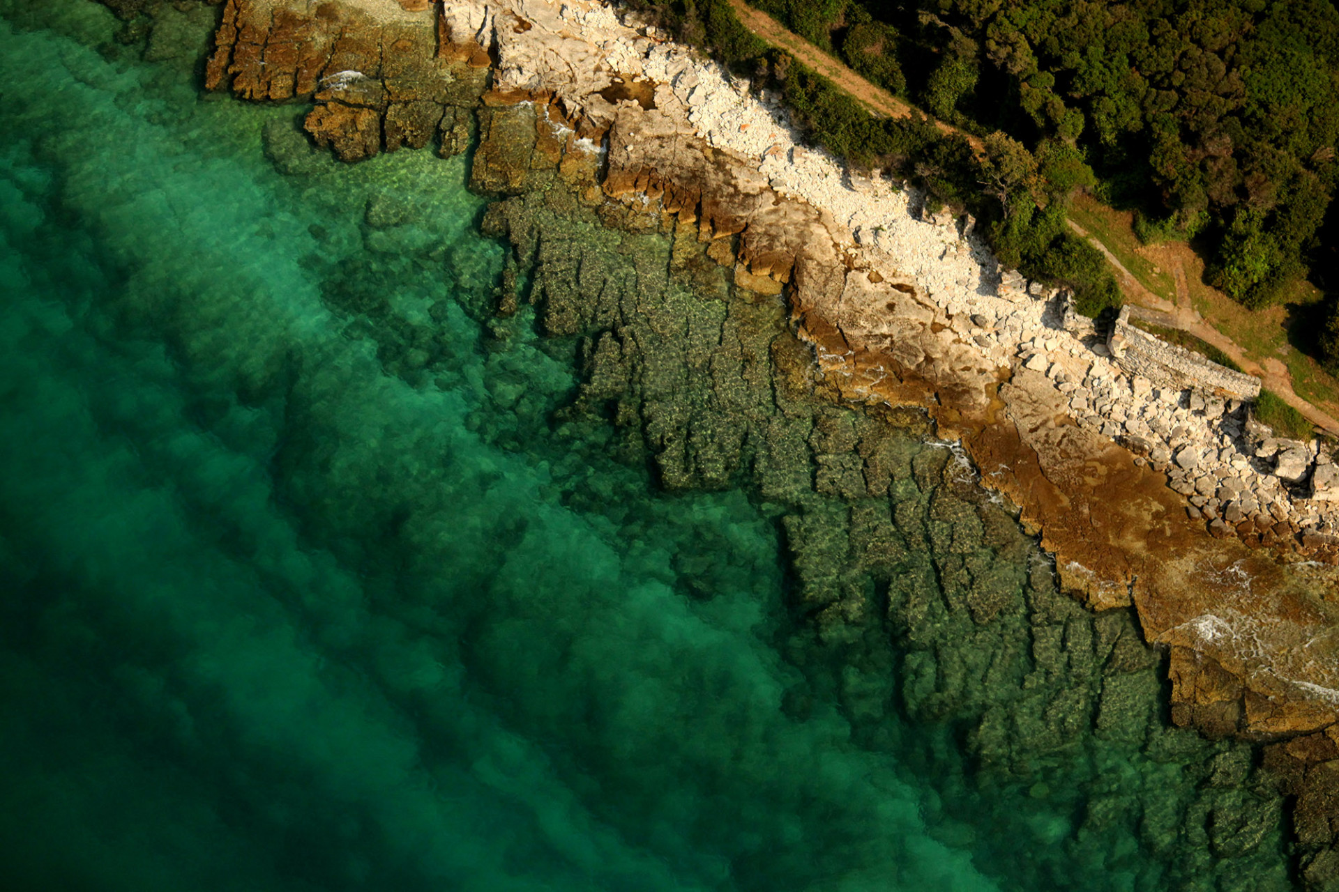 Fotografije | Nacionalni park Brijuni